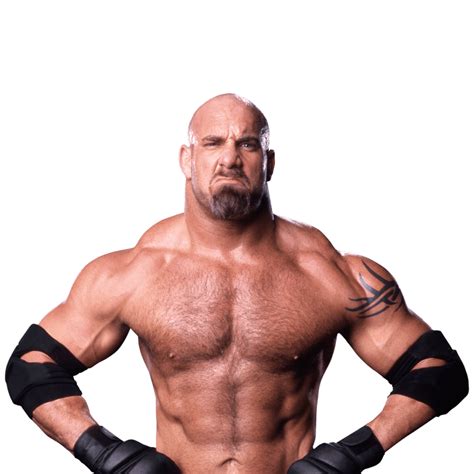 Bill Goldberg Body Measurements