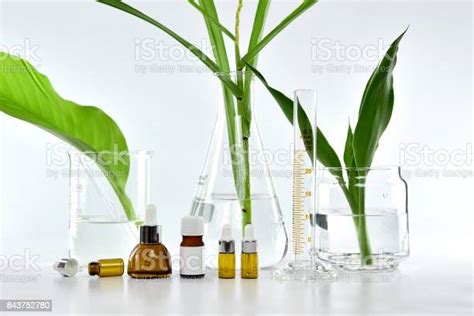 화장품 병 용기 녹색 허브 잎 및 과학적인 유리 빈 레이블 모형 연구를 브랜딩 패키지와 자연 유기 뷰티 스킨케어 제품 개념을 개발 개발에 대한 스톡 사진 및 기타 이미지