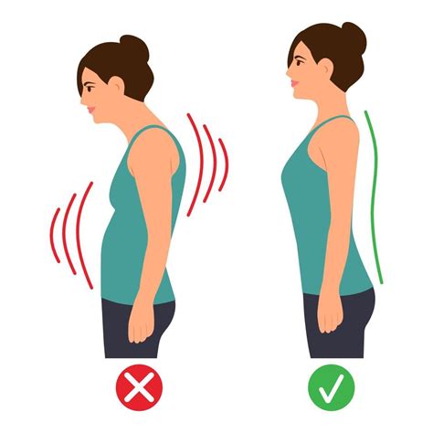 Postura De Pie Correcta E Incorrecta Curvatura Espinal Cervical