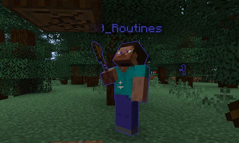 minecraft displaying entity outlines on specific players with