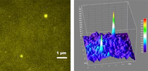 Single Molecule Detection Teledyne Vision Solutions