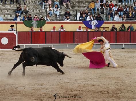 Gonçalo Alves e Tomás Bastos em Valencia Touro e Ouro