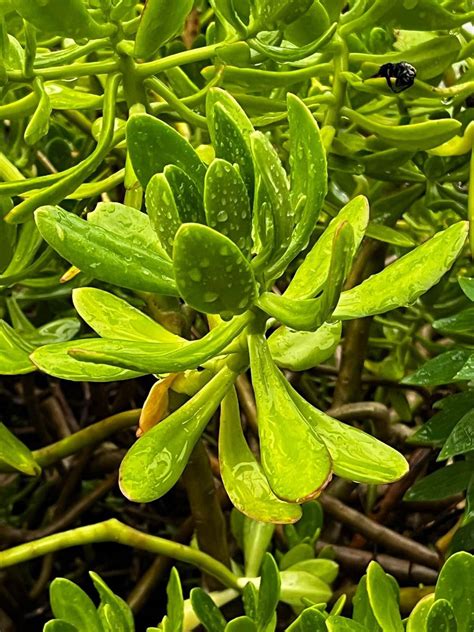 Brittany Moss On Linkedin Winetasting Travel Vacation