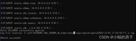 Windows Server 2019安装oracle 19c单机数据库【图文详解】winserver2019安装oracle19c Csdn博客