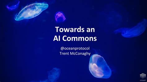 Towards An Ai Commons Ppt