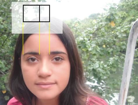 The Golden Ratio And Eyebrows Eyebrows Golden Ratio Golden Proportion