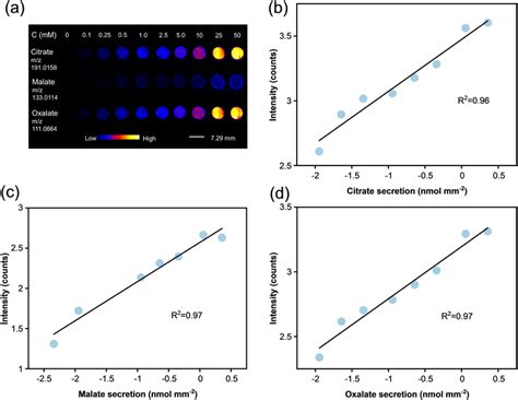 Linear Correlations Between The Intensities Of The Calibration