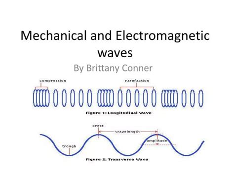 Mechanical And Electromagnetic Waves Venn Diagram