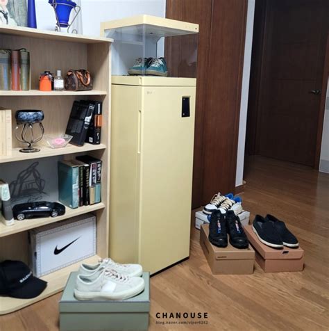 Lg 스타일러 오브제컬렉션 슈케어 And 슈케이스 신발 관리 후기 기능 사용법 리뷰 네이버 블로그