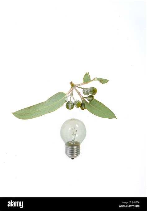 Stockings And Suspenders Stock Photo Alamy