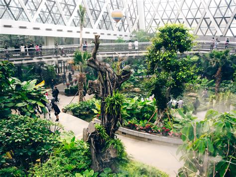 물과 식물로 채운 거대한 놀이공원 서울식물원 롯데호텔매거진 Seoul Vietnam Plants Travel