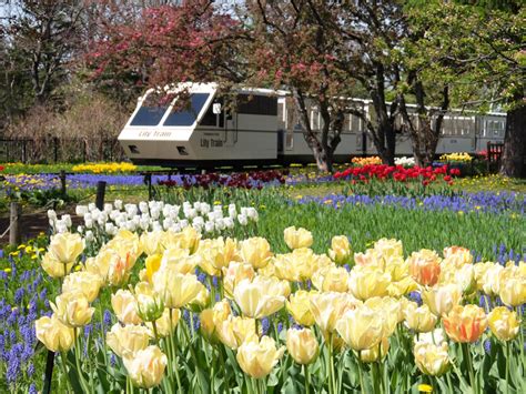 百合が原公園の完全ガイドレビュー駐車場遊具など