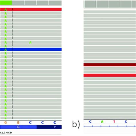 The Integrative Genomic Viewer Igv Sequence Data Of Some Novel