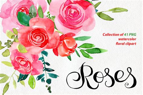 Red And Pink Watercolor Roses Png By Watercolorflowers Thehungryjpeg