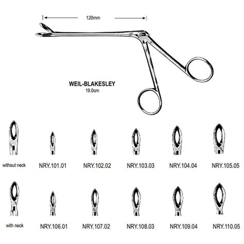 Without Neck Norfolk International