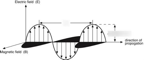 Exam Diagram Of Wave Diagram Quizlet