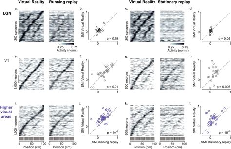 Spatial Modulation Of Visual Responses Arises In Cortex With Active
