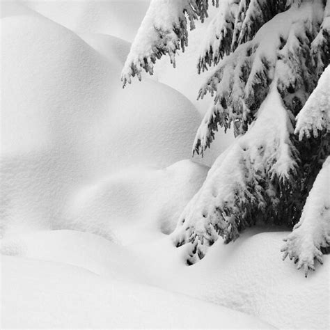 Paisagens Neve Detalhes Imagens Download Grátis No Freepik