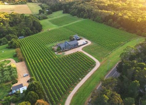 Eldridge Estate Premier Vineyard In Mornington Peninsula