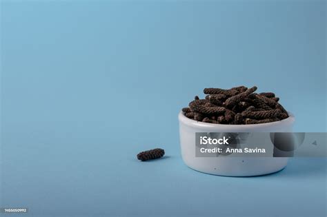 흰 그릇에 말린 인도 긴 고추 파이퍼 롱검 파이퍼 레트로프랙툼 피팔리 롱페퍼 약초 0명에 대한 스톡 사진 및 기타 이미지