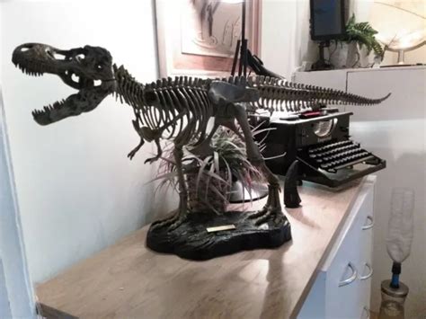 Large Replica Dinosaur Skeleton Fossil Model Of A Tyrannosaurus Rex £68 99 Picclick Uk