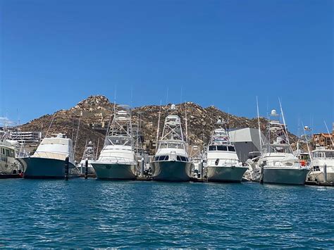 Top 5 Things To Do In Cabo San Lucas Activity Authority