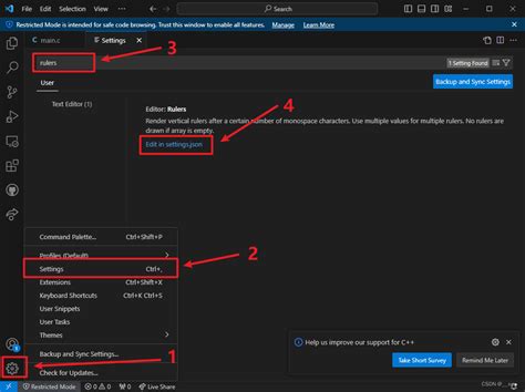 【工具使用】vs Code设置字宽垂直标尺 Vscode 标尺 Csdn博客