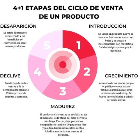 ¿cuál Es El Ciclo De Vida De Un Producto Y Sus 4 Etapas
