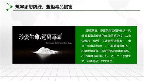 珍爱生命，远离毒品！毒品的危害有多大你知道吗？ 搜狐大视野 搜狐新闻