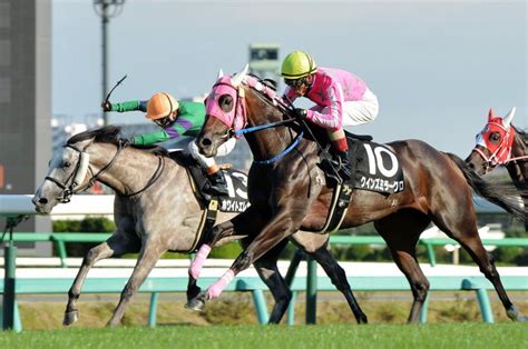 【マーメイドステークス2017】出走予定馬｜予想｜予想オッズ44倍クインズミラーグロが幸騎手と久しぶりの勝利へ！！ 当たる無料競馬予想【神ログ】