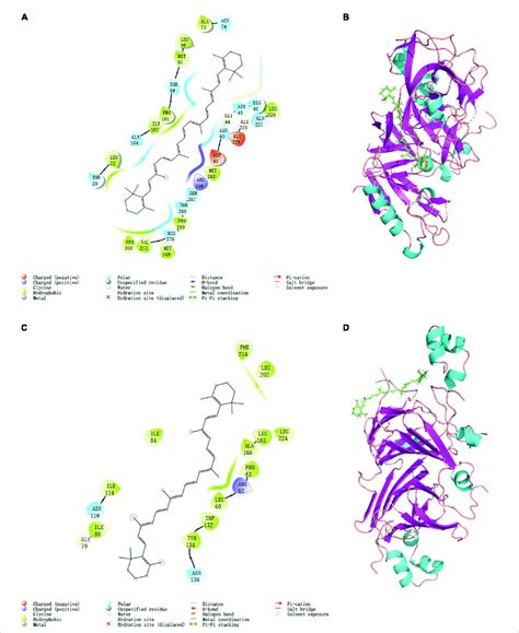 Modular Docking 2d And 3d Conformational At 298k A 7s Interactions Download Scientific