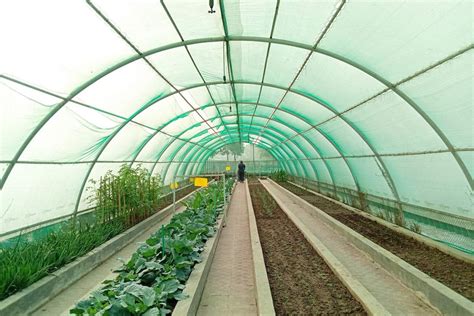 Tips For Selecting And Using Greenhouse Shade Cloth