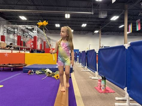 Gymnastics Tigar Gymnastics