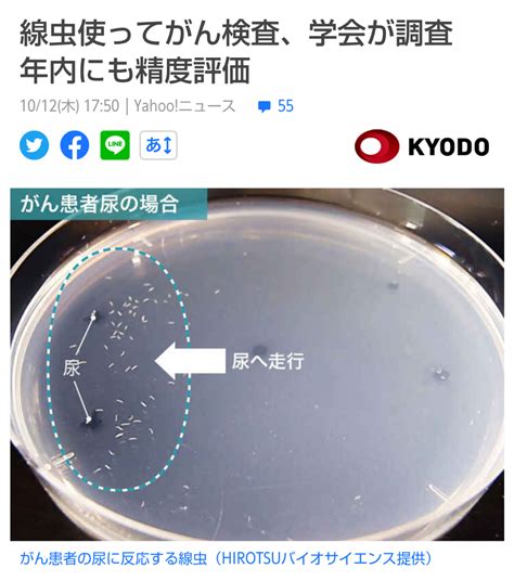 社会の時間（『線虫』使ってがん検査） 世界の神話や伝説、昔話について