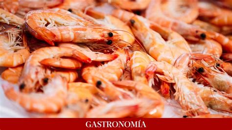 Diferencias entre gambas quisquillas y camarones del tamaño al sabor