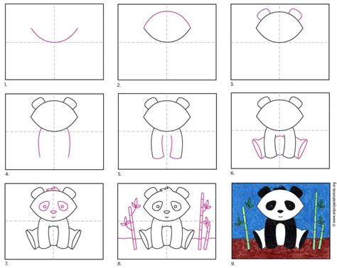 Step By Step Drawings Of Pandas