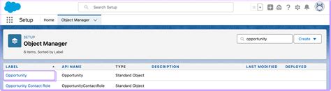 Configuring The Opportunity Object