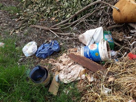 Terreno Com Mato Alto Atrai Cobras E Vira Depósito De Lixo Em Bairro De
