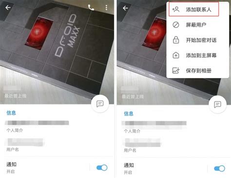 国内怎么上telegram电报 ？telegram电脑、安卓手机、苹果ios下载及使用全网最全教程 自由鸟