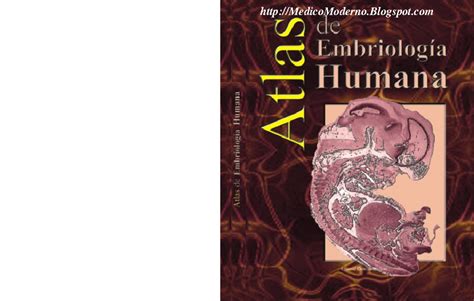 Atlas de Embriolog Ã a Humana Vila MedicoModerno Blogspot AAAAAtlas
