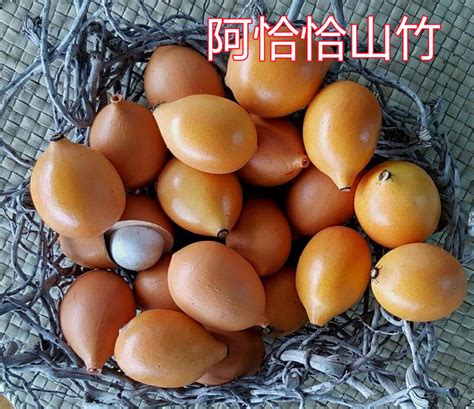新品热卖阿恰恰黄金山竹美味可口南北方庭院果树盆栽原叶原土广东 虎窝淘