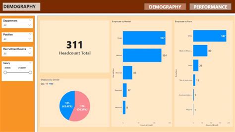 Do Data Visualizations With Some Insight In Power Bi By Jumagarasormin Fiverr