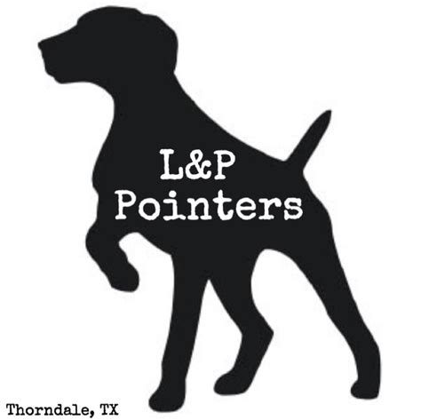 Landp Pointers
