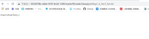 n1book 常见的收集 buuctf 网抑云黑胶svip用户 博客园