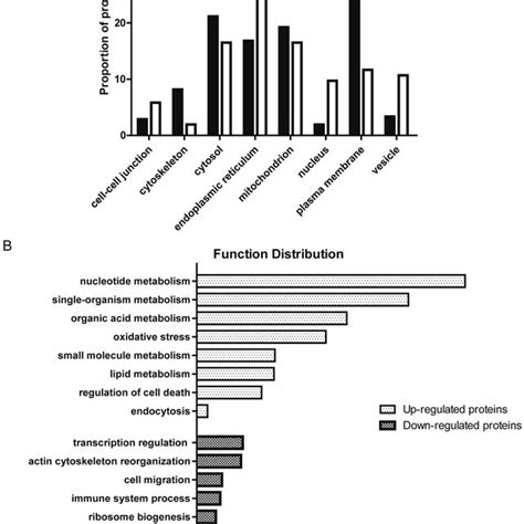 Subcellular Localization And Biological Functions Of Differential