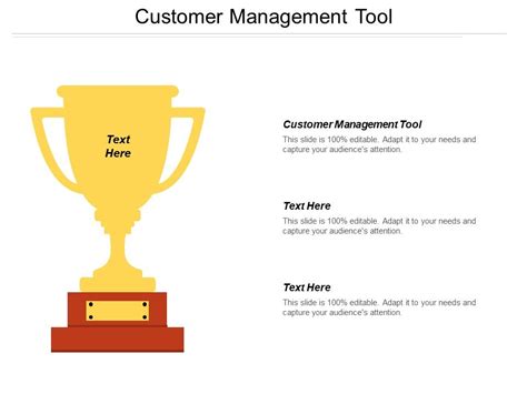 Customer Management Tool Ppt Powerpoint Presentation Infographics Graphics