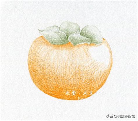 彩鉛入門教程 美味的大柿子4步畫出來 每日頭條