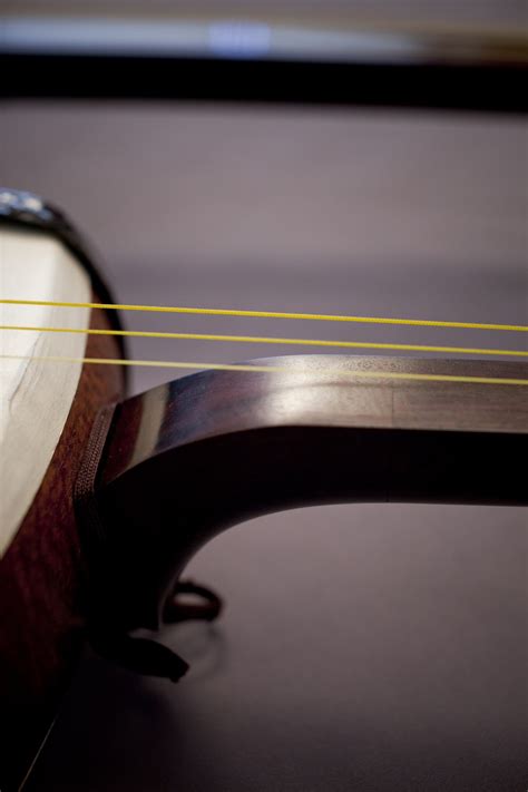 Shamisen Traditional Music Degital Library