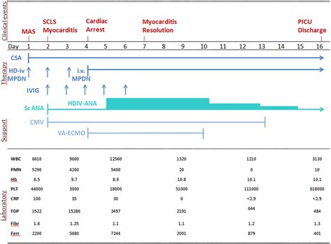 Correlation Between Clinical Aspects Laboratory Tests And Treatment Of Download Scientific