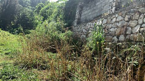 Fenced Land For Sale In Thomassin 25 Soisson Petion Ville Haiti